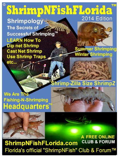 Fishing Shrimping Magazines