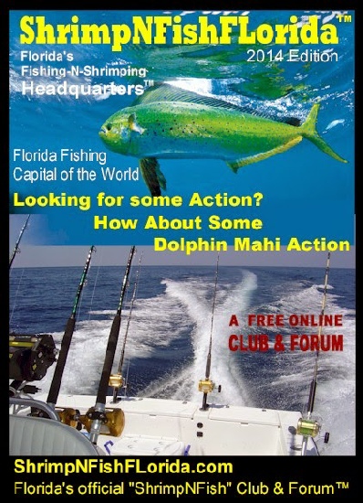 Fishing Shrimping Magazines