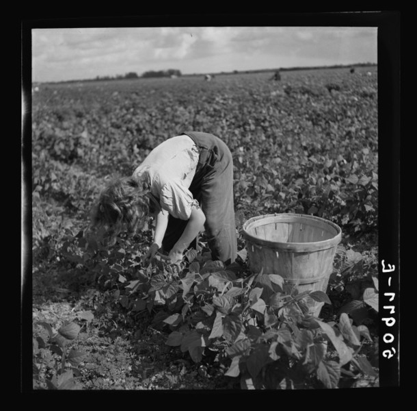 Florida During The Great Depression | ShrimpNFishFlorida™ is Florida's ...