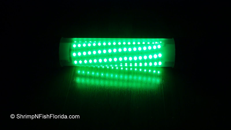 Member DIY - How To... - How To Make Led Shrimp Lights, Shrimping ...